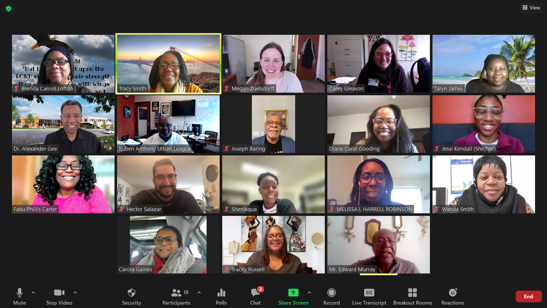 Black Leaders for Brain Health – Community-Academic Partnerships for ...
